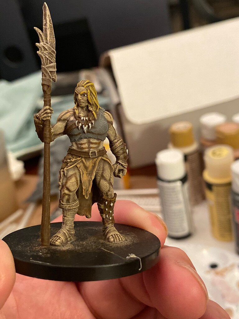 New Dark Sun minis for my games - Arena